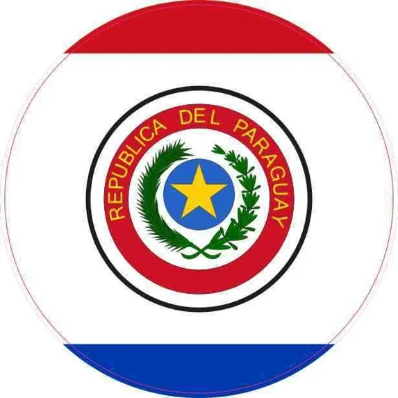 DOPASTICKER Round Paraguay Flag Sticker Travel Stickers Cup Sticker ...