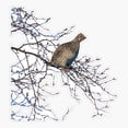 DOPASTICKER Rued Grouse On Tree Branch Sticker Hunting Sticker, Phone ...