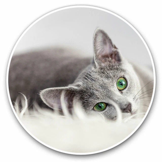 DOPASTICKER Russian Blue Cat Kitten Pet Cool Gift Decorative Laptop ...