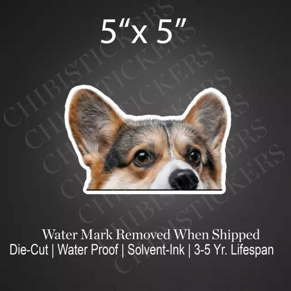 DOPASTICKER Sable Tri Color Corgi Realistic Dog Peeker Sticker ...