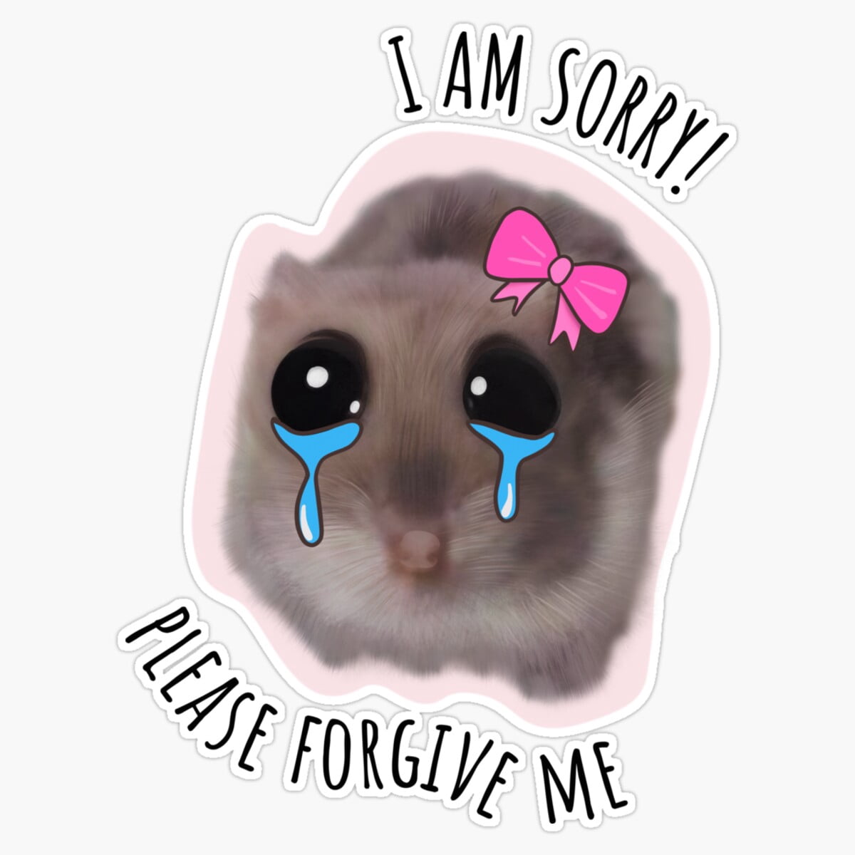 DOPASTICKER Sad Hamster I Am Sorry, Please Forgive Me! With Big Eyes ...
