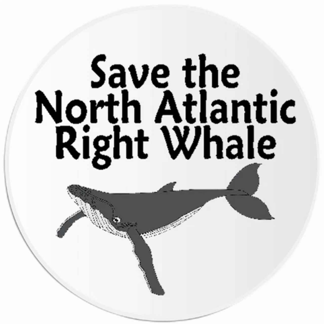 DOPASTICKER Save The North Atlantic Right Whale Phone Decal Water ...