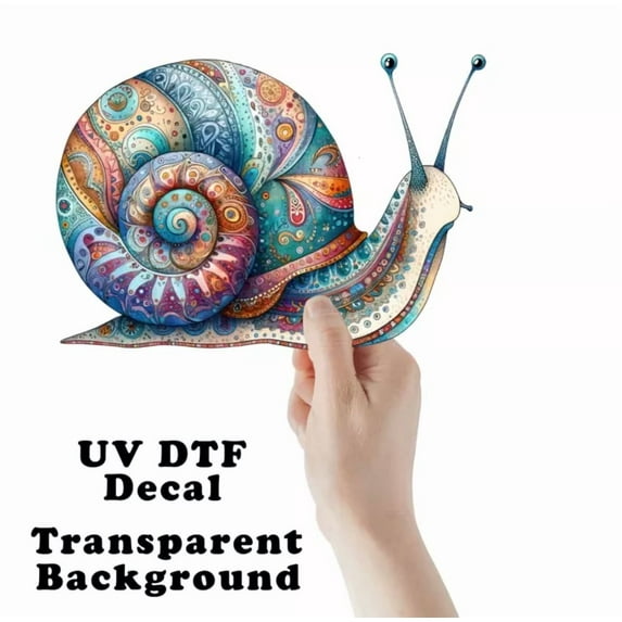 DOPASTICKER Scandi Snail Sticker Transparent Decal- Design Preview Only ...