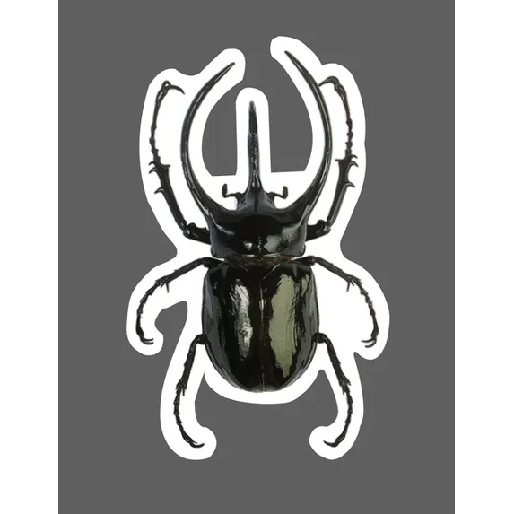 DOPASTICKER Scarab Beetle Sticker Realistic Animal Sticker Phone ...