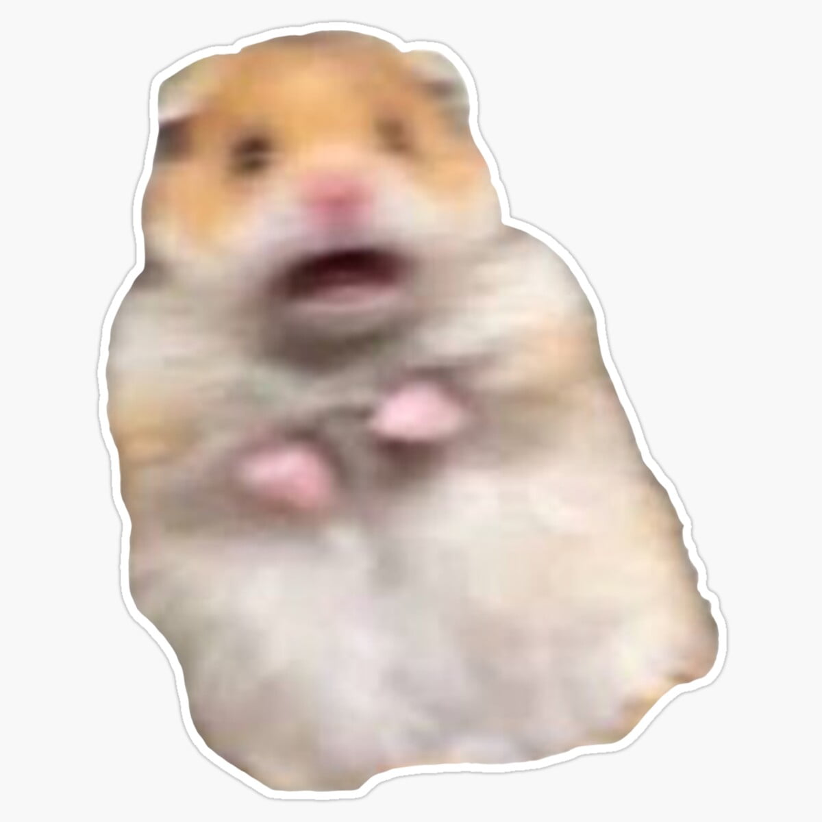 DOPASTICKER Scared Hamster Sticker, Phone Sticker Water Bottle Sticker ...