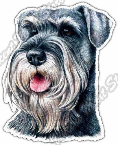DOPASTICKER Schnauzer Breed Dog Pet Pets Friend Zoo Car Sticker Decal ...