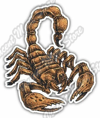 DOPASTICKER Scorpion Venomous Stinger Arachnid India Car Sticker Decal ...
