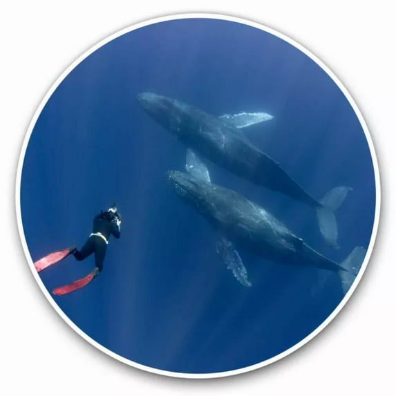 DOPASTICKER Scuba Diving Freediver Whale Swim Cool Gift, Phone Stickers ...