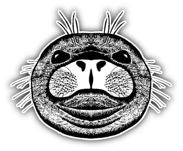 DOPASTICKER Seal Head Sketch Sticker Decal Phone Decal Water Bottle ...