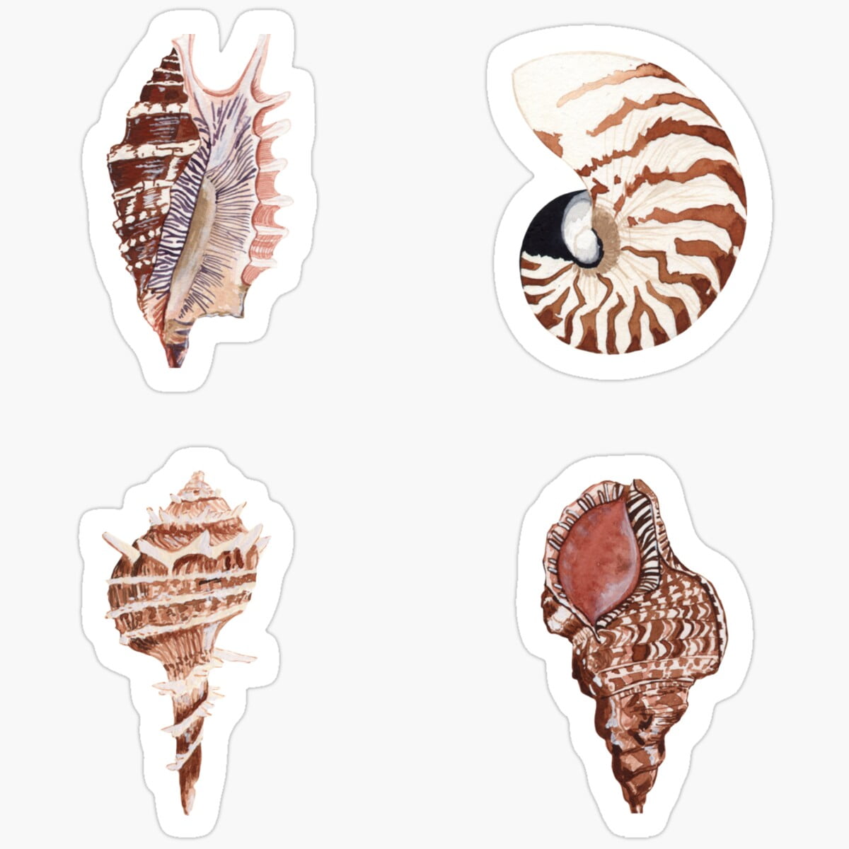 DOPASTICKER Seashells Sticker Birthday Gifts - Decorative Laptop, Phone ...
