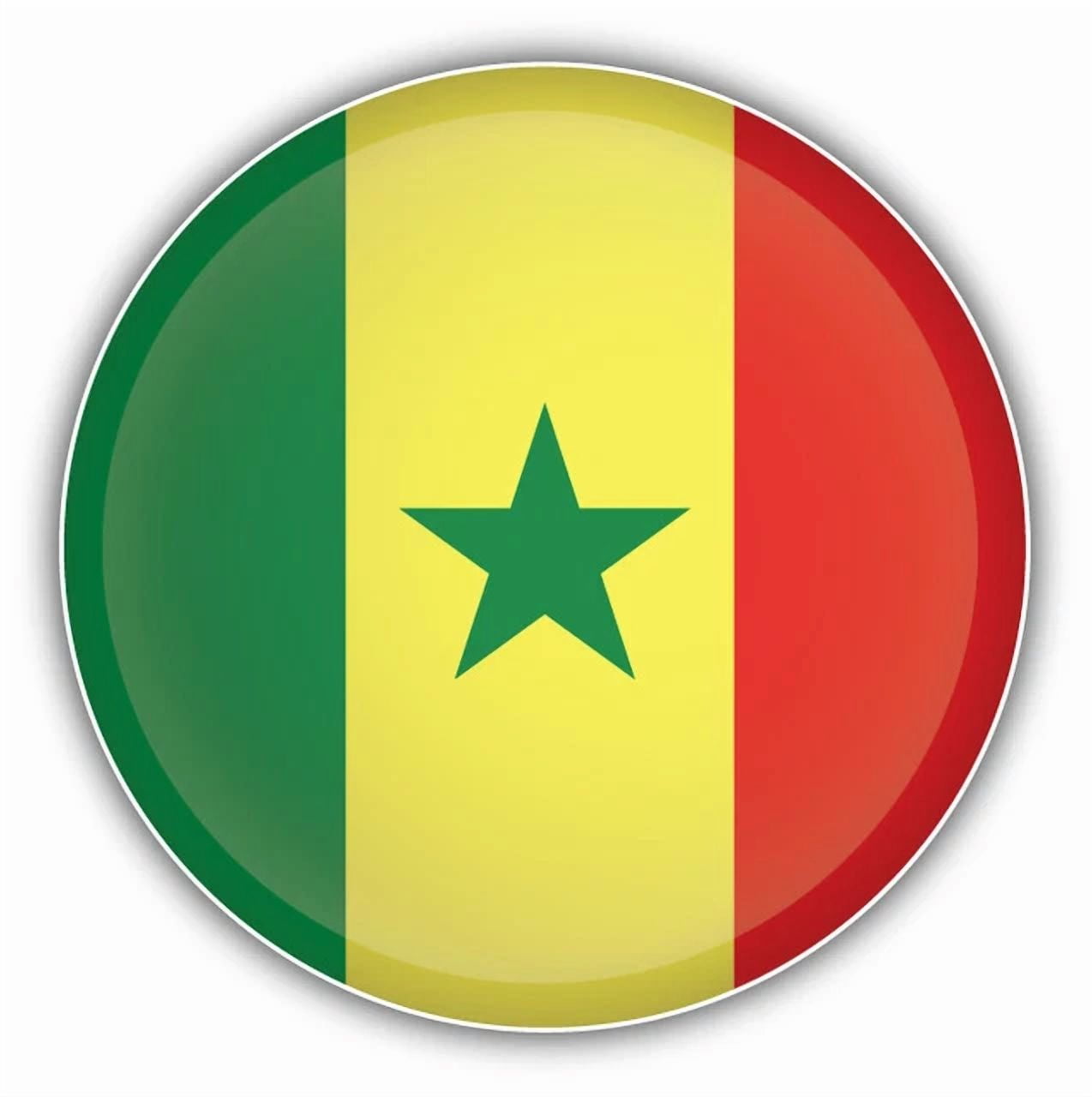 DOPASTICKER Senegal Flag Sticker Decal Phone Decal Water Bottle ...