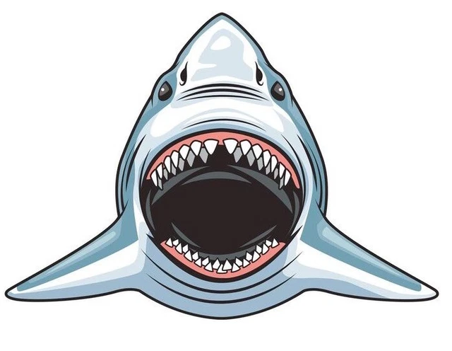 DOPASTICKER Shark Head Sticker Mean Colorful Vivid Bright Tough Ocean ...