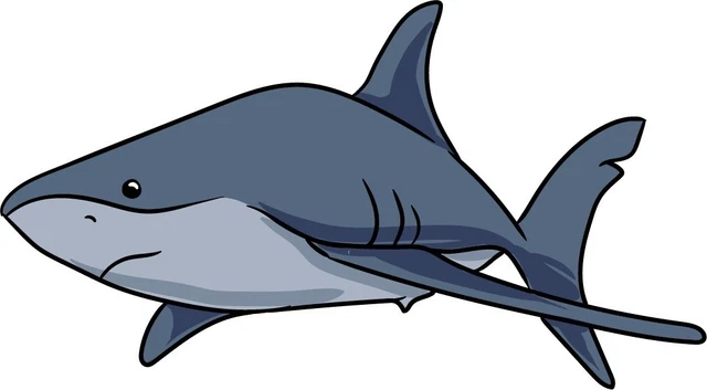 DOPASTICKER Shark Sticker Ocean Surf Beach Sea Bite Mean Realistic ...