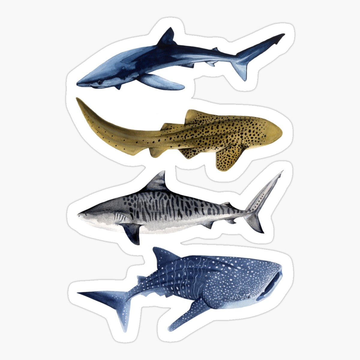 DOPASTICKER Sharks Ii-Blue, Zebra, Leo.Pard, Tiger And Whale Sharks ...