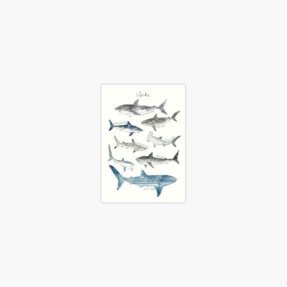 DOPASTICKER Sharks Sticker, Phone Sticker Water Bottle Sticker Car ...