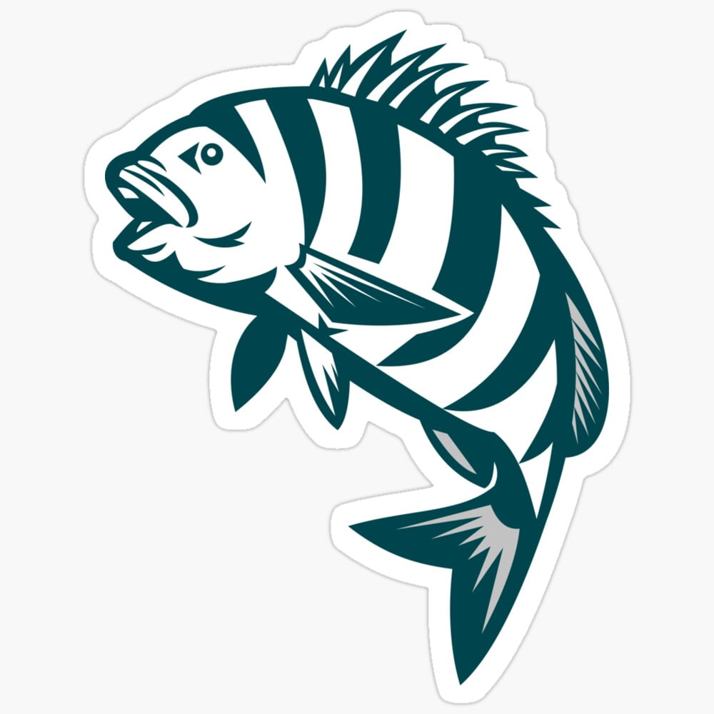 DOPASTICKER Sheepshead Fish Jumping Isolated Retro Sticker Phone Decal ...