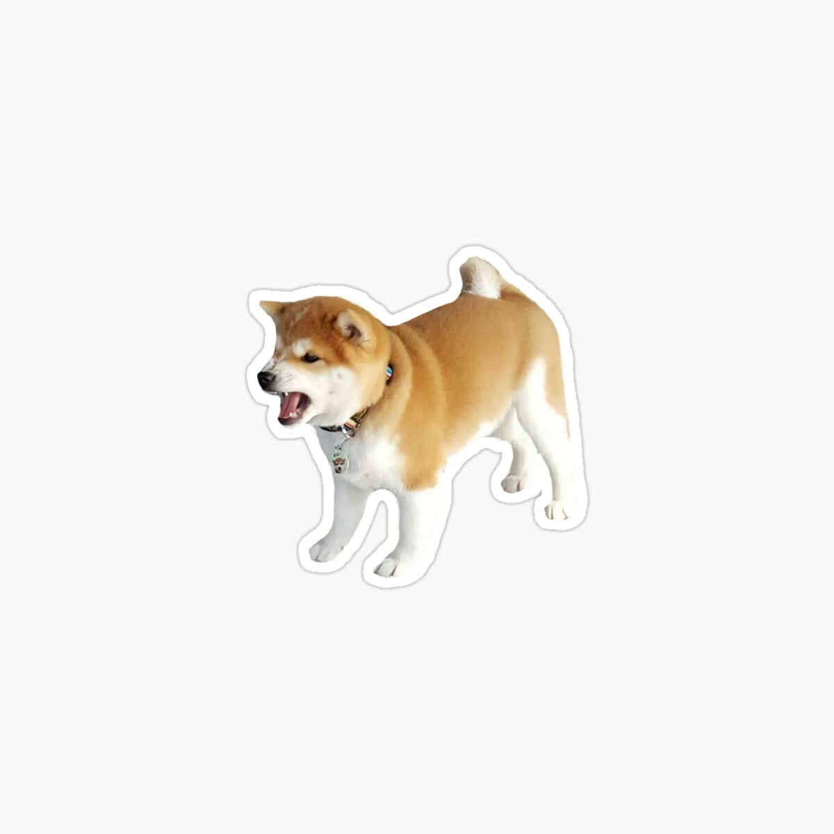 DOPASTICKER Shiba Scream Sticker, Phone Sticker Car Stickers, Birthday ...