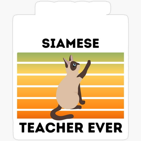 DOPASTICKER Siamese Cat Teacher Lovers, Gift Teachers Siamese Lovers ...