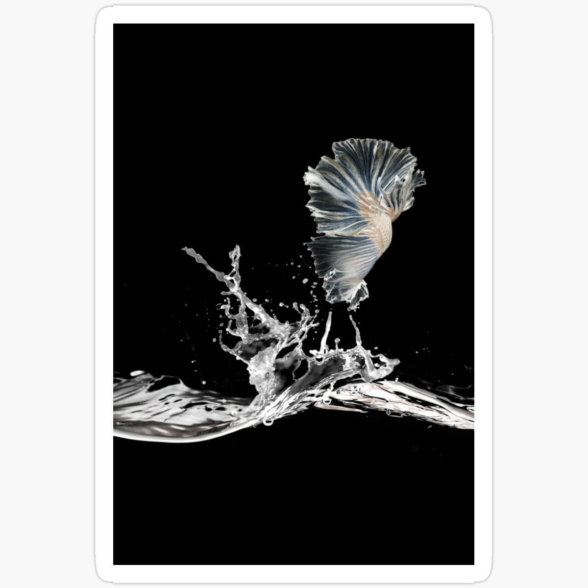 DOPASTICKER Siamese Fighting Fish Sticker Waterproof Sticker For Water ...