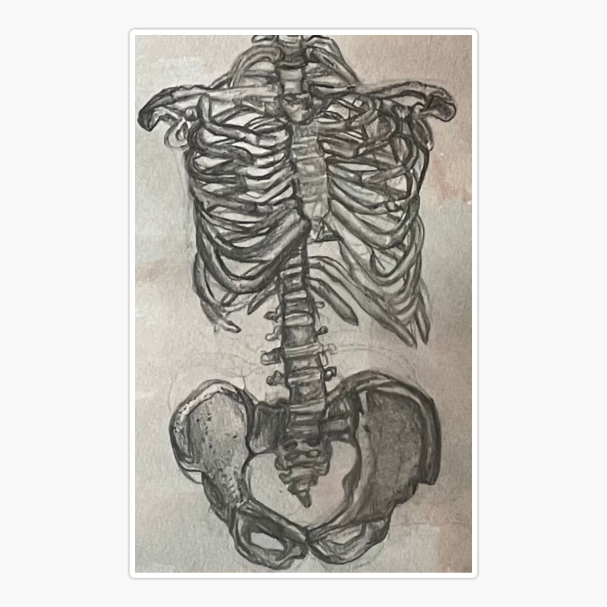 DOPASTICKER Skeleton Drawing Sticker, Phone Sticker Car Stickers ...