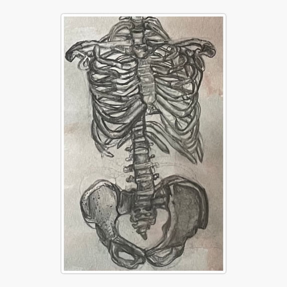 DOPASTICKER Skeleton Drawing Sticker, Phone Sticker Car Stickers ...