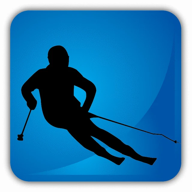 DOPASTICKER Ski Slope Sport Icon Sticker Decal Phone Decal Water Bottle ...