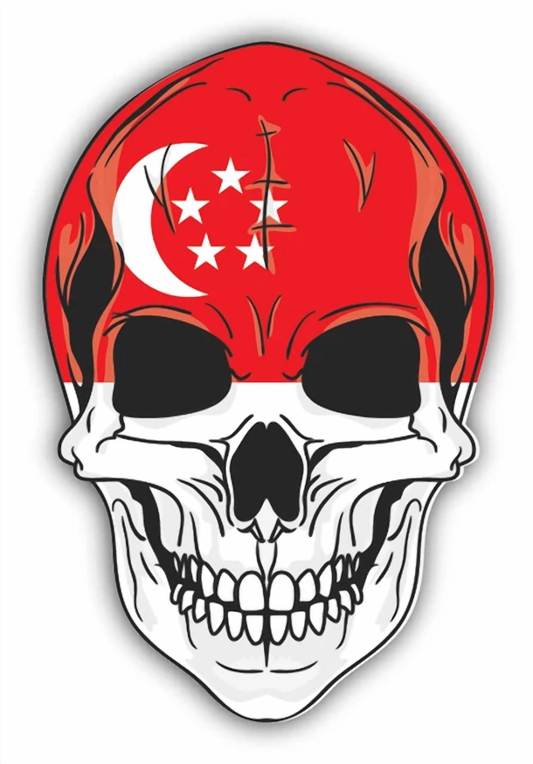 DOPASTICKER Skull Flag Singapore Car Sticker Phone Water Bottle ...
