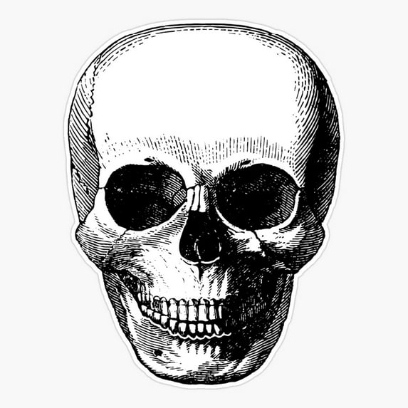 DOPASTICKER Skull Retro Classic Sticker, Phone Sticker Car Sticker ...