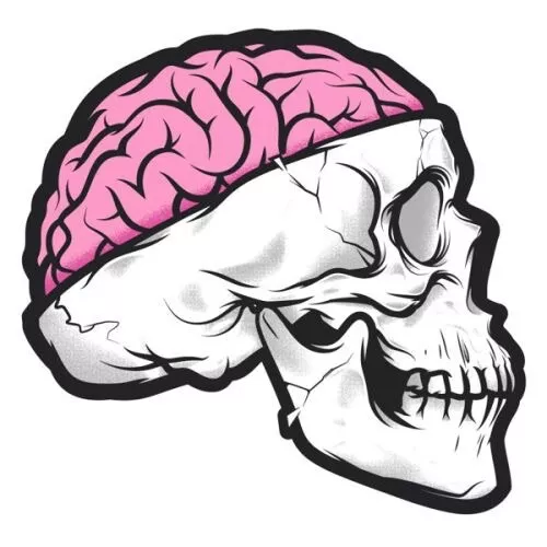 DOPASTICKER Skull Skeleton Sticker Brain Pink Health Nurse Medicine ...
