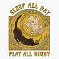 DOPASTICKER Sleep All Day, Play All Night Glossy Decorative Laptop ...