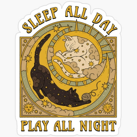 DOPASTICKER Sleep All Day, Play All Night Glossy Decorative Laptop ...