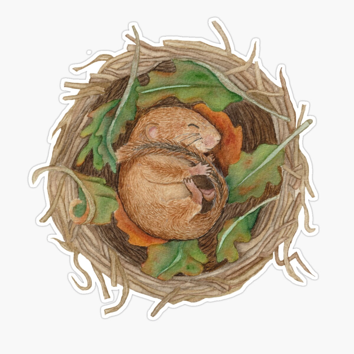 DOPASTICKER Sleepy Dormouse Sticker, Phone Sticker Car Stickers ...