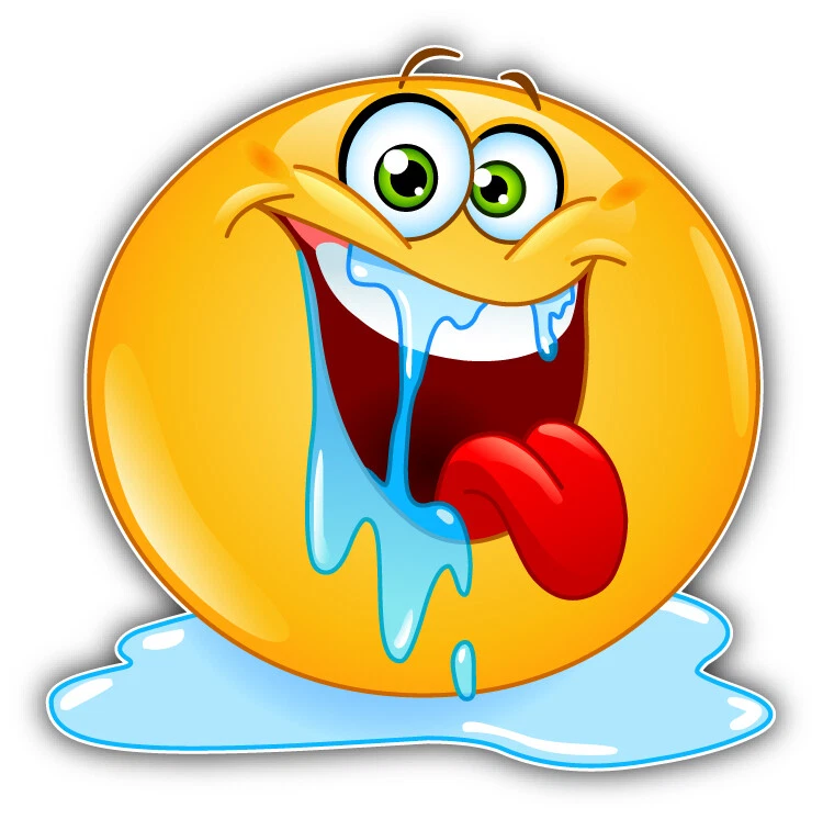 DOPASTICKER Smile Drooling Car Bumper Sticker Decal Gift You ...