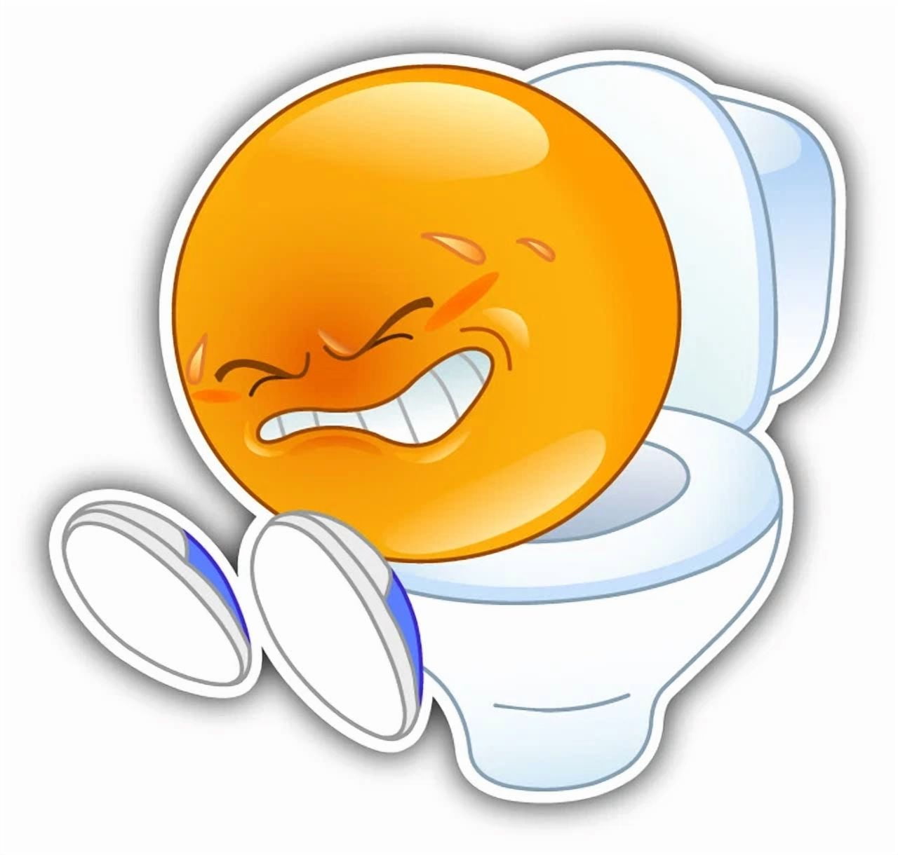 DOPASTICKER Smile In Toilet Car Sticker Phone Water Bottle Stickers ...