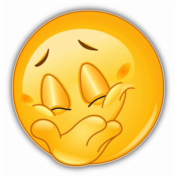 DOPASTICKER Smile Shy Car Bumper Sticker Decal Gift You - Decorative ...