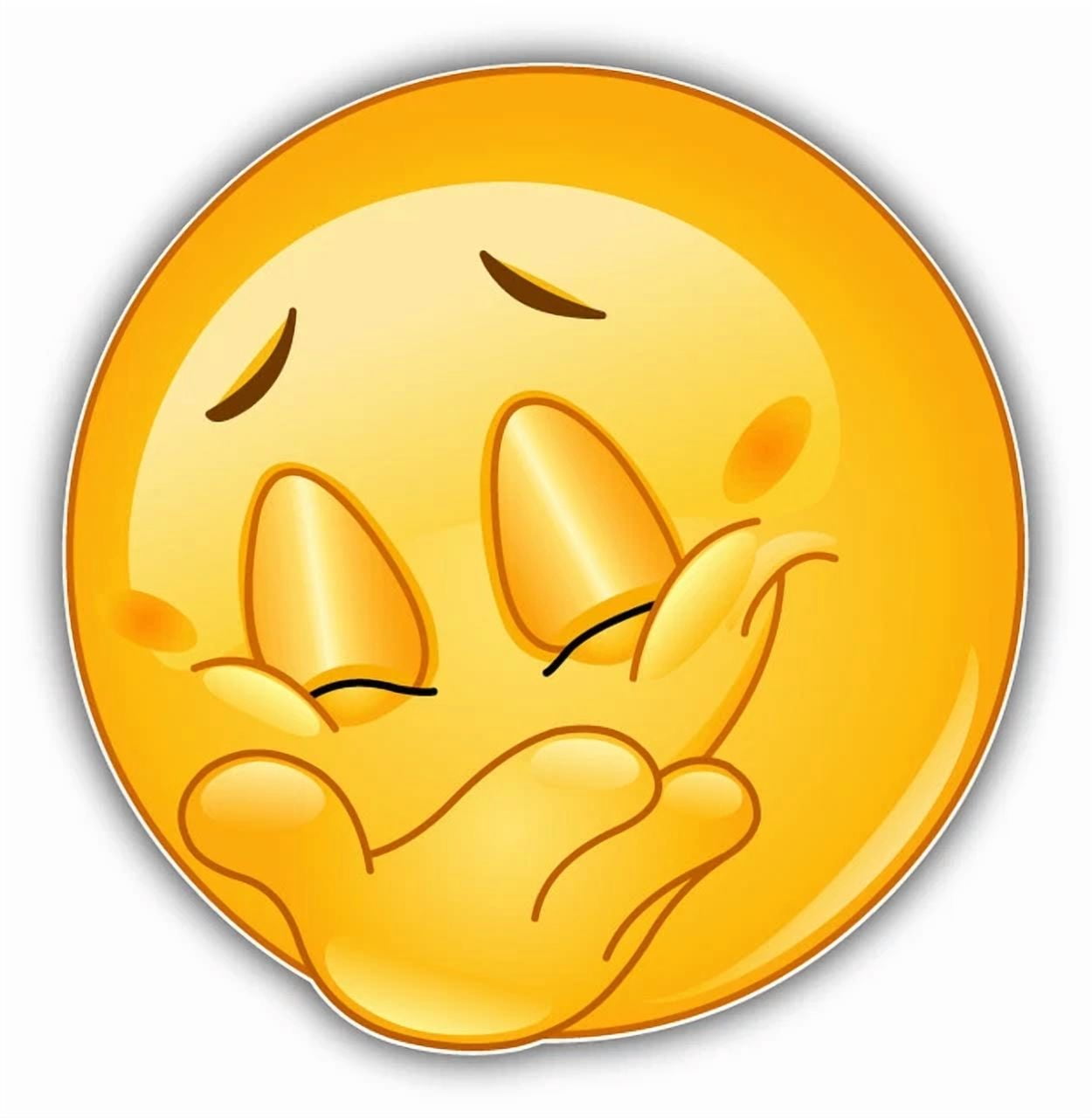 DOPASTICKER Smile Shy Car Sticker Phone Water Bottle Stickers, Cars ...