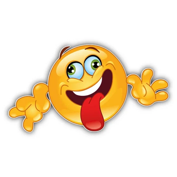 DOPASTICKER Smile Stupid Car Bumper Sticker Decal Gift You - Decorative ...