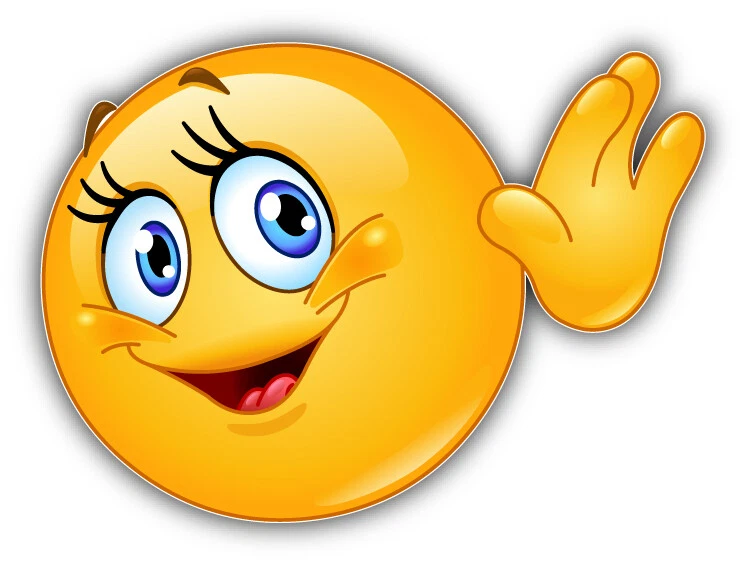 DOPASTICKER Smile Welcomes Car Bumper Sticker Decal Gift You ...