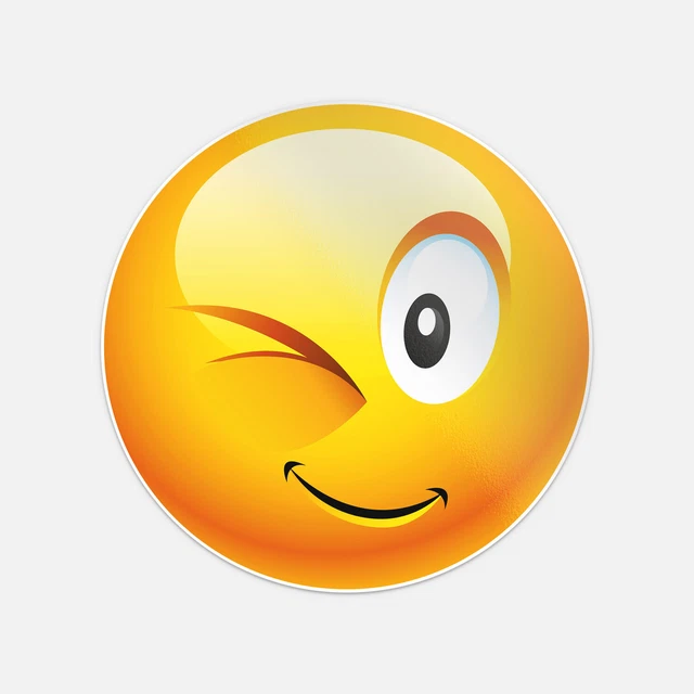 DOPASTICKER Smiley Winks Sticker Decal Phone Decal Water Bottle ...