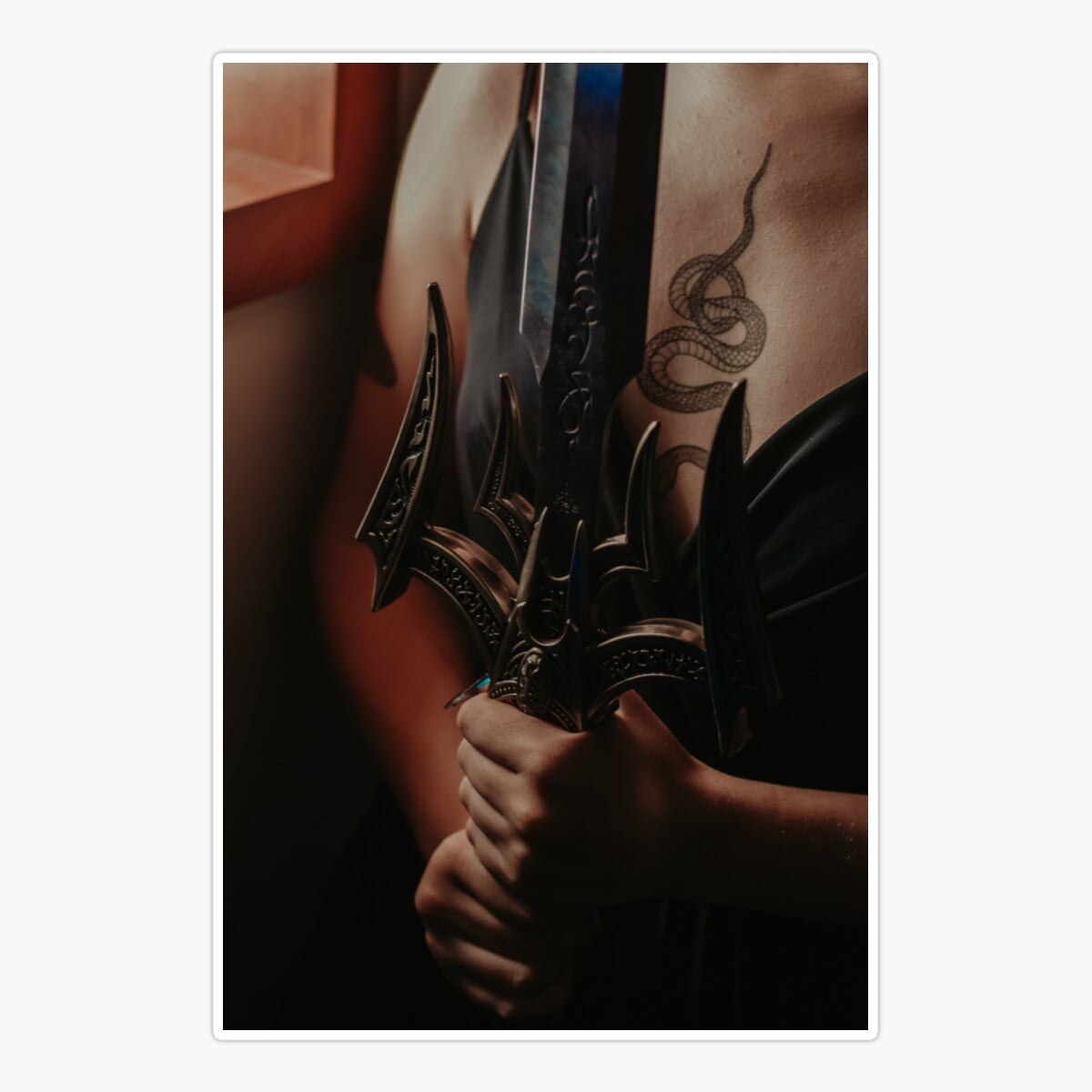 DOPASTICKER Snakes And Swords Sticker, Phone Sticker Car Stickers ...