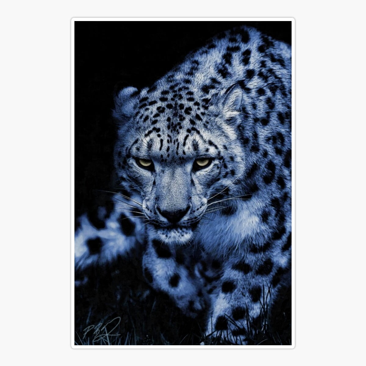 DOPASTICKER Snow Leo.Pard Sticker, Phone Sticker Water Bottle Sticker ...