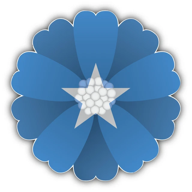 DOPASTICKER Somalia Flag Flower Sticker Decal Phone Decal Water Bottle ...