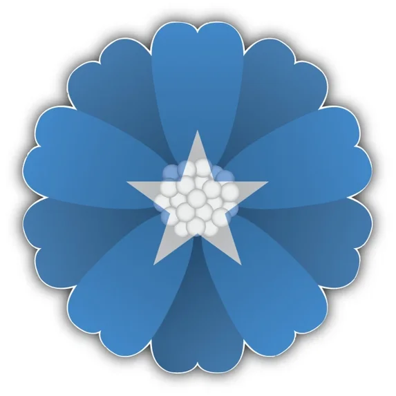 DOPASTICKER Somalia Flag Flower Sticker Decal Phone Decal Water Bottle ...