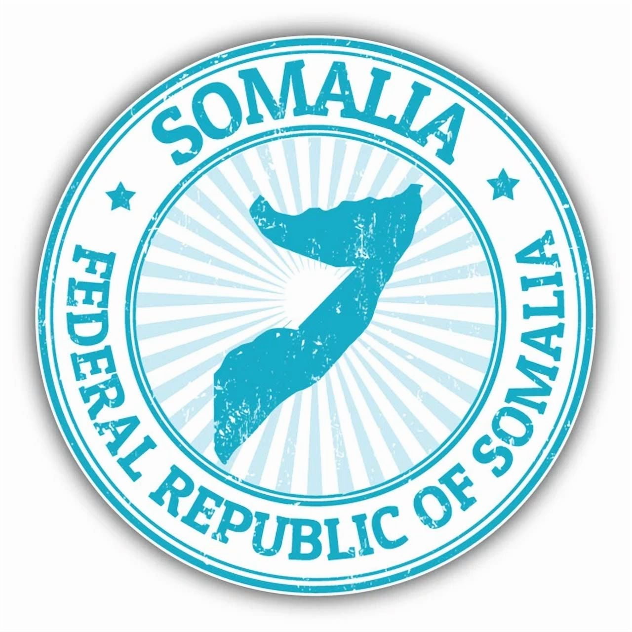 DOPASTICKER Somalia Map Grunge Sticker Decal Phone Decal Water Bottle ...