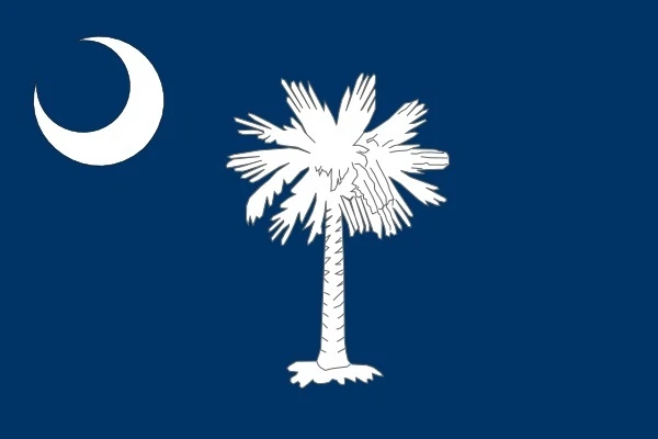 DOPASTICKER South Carolina Flag Sticker Laptop Sticker Phone Decal ...