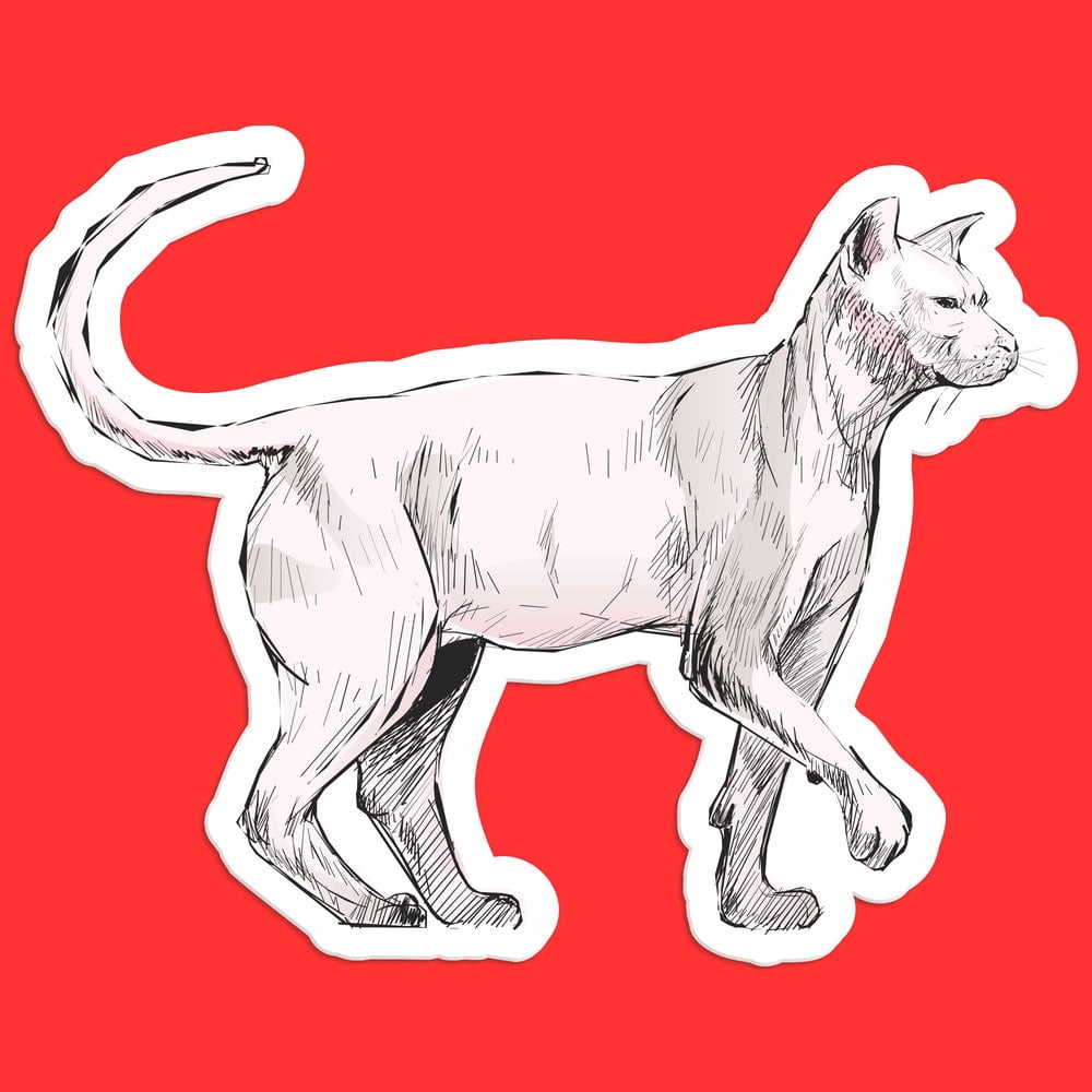 DOPASTICKER Sphynx Cat Sticker, Realistic Hairless Cat Art, Detailed ...
