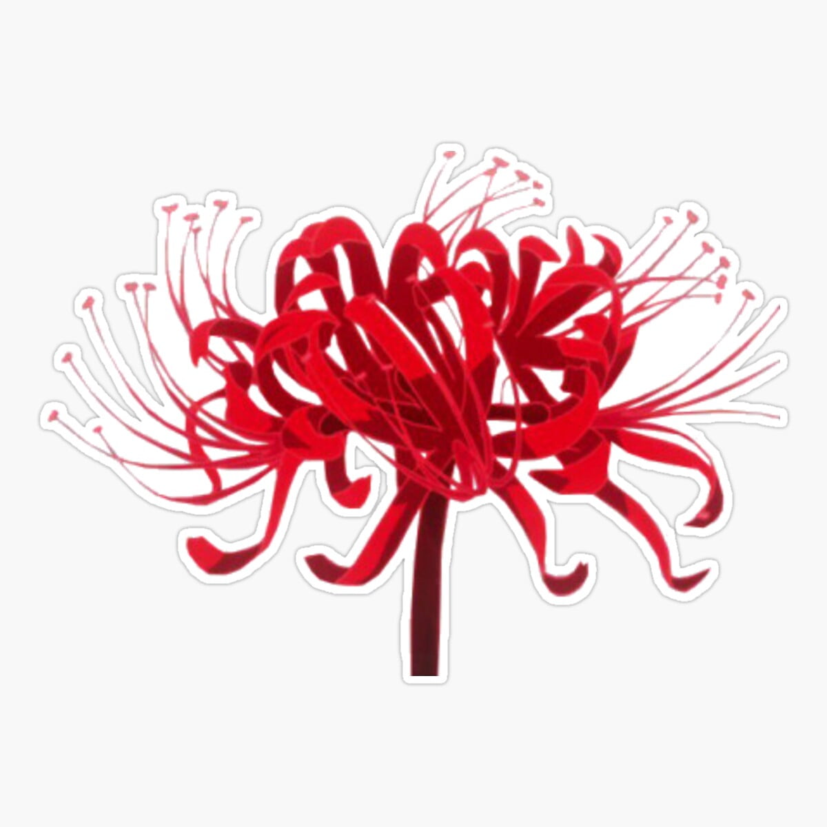 DOPASTICKER Spider Lily Design Sticker, Phone Sticker Car Stickers ...