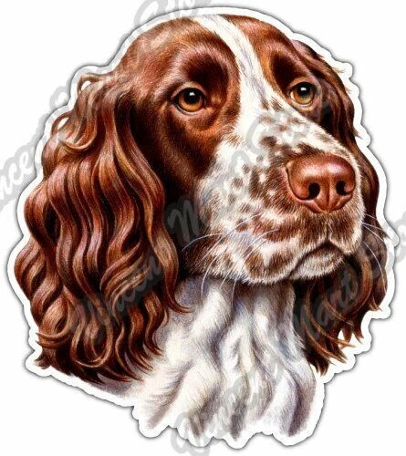 DOPASTICKER Springer Spaniel Hunting Dog Canine Pet Car Sticker Decal ...