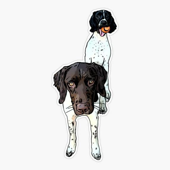 DOPASTICKER Springer Spaniels Sticker, Phone Sticker Water Bottle ...