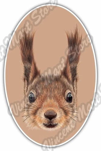 DOPASTICKER Squirrel Face Chipmunk Rodent Animal Forest Car Sticker ...